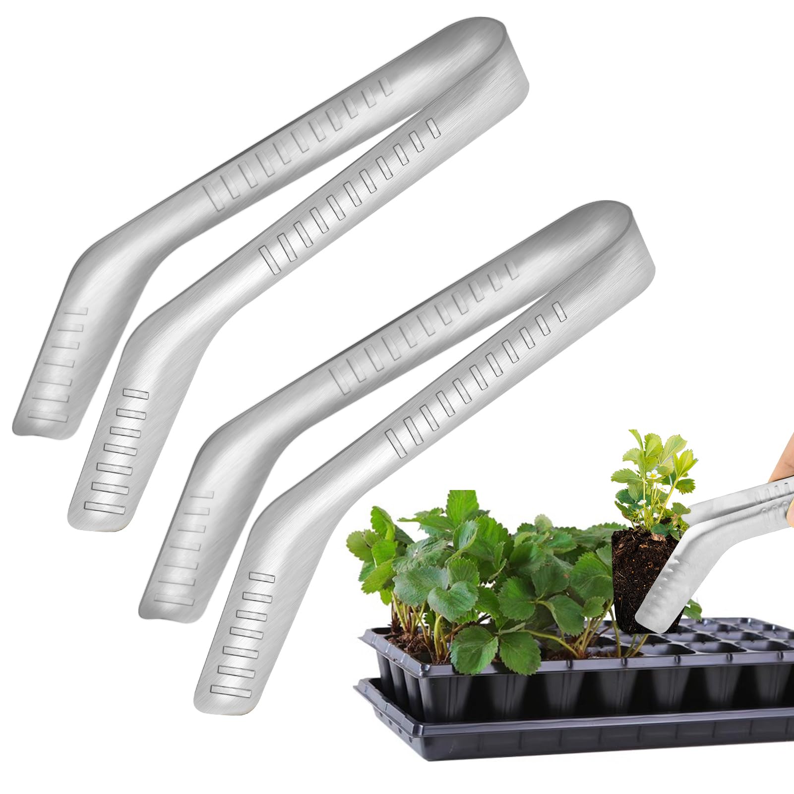 Amazon.com : 2PCS Seedling Transplant Tongs Stainless Steel Seedling ...