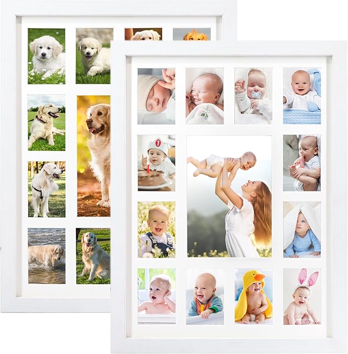 Amazon.com: FramePro School Years Picture Frame K-12 Day Graduation ...