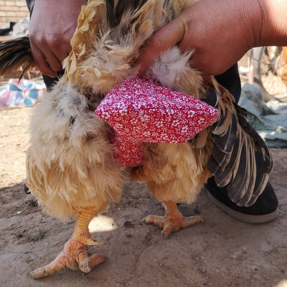 kitabetty V Shape Poultry Diaper,Pet Diaper V Shape Chicken Diaper ...