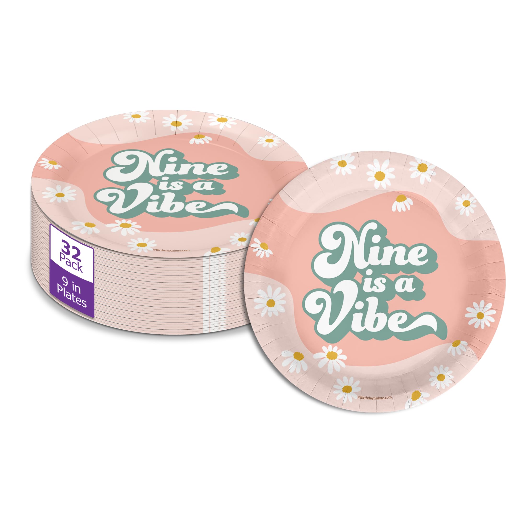 Amazon.com: Nine is a Vibe Groovy Ninth Birthday - 32 Piece Disposable ...