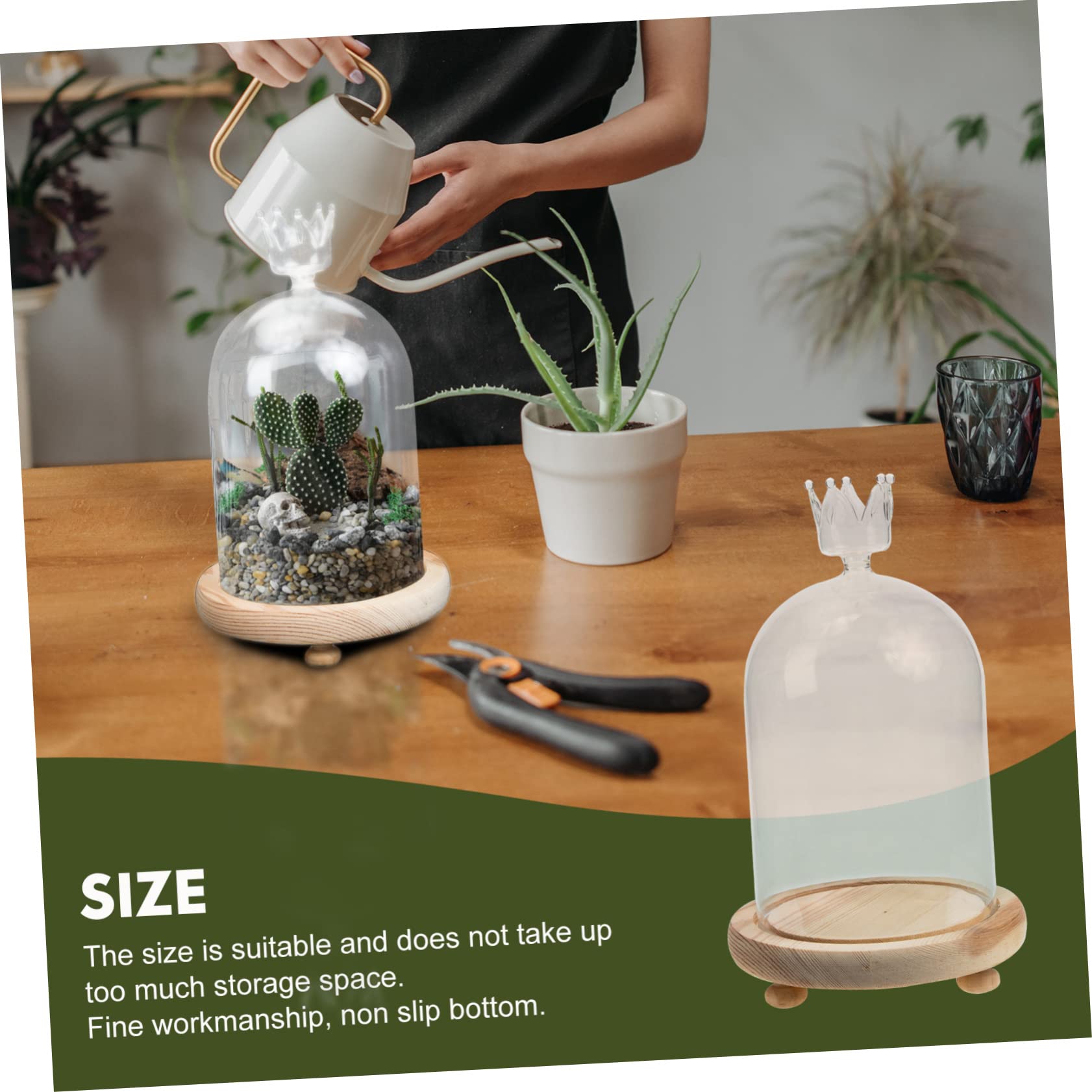 Glass Covers For Plants