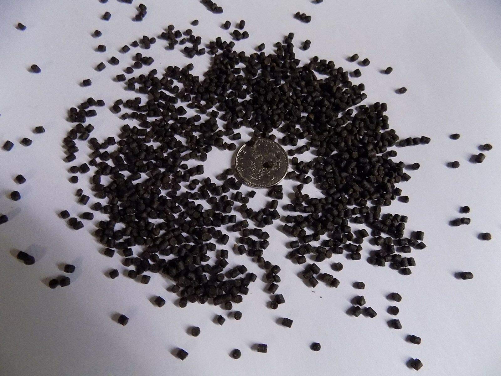 Buy koidivision Catfish Pleco Cichlid Plec Food Complete Sinking Small ...