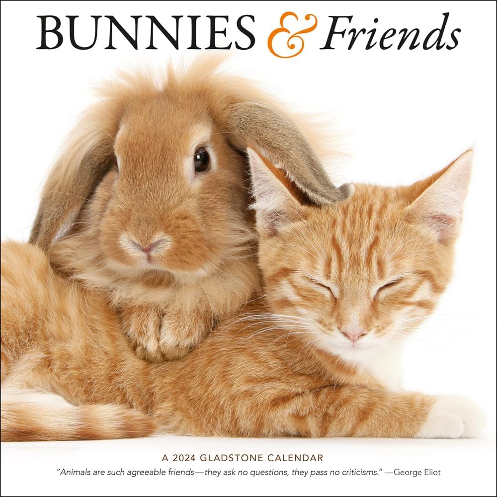 Amazon.com: Gladstone Media, Bunnies and Friends 2024 Wall Calendar ...