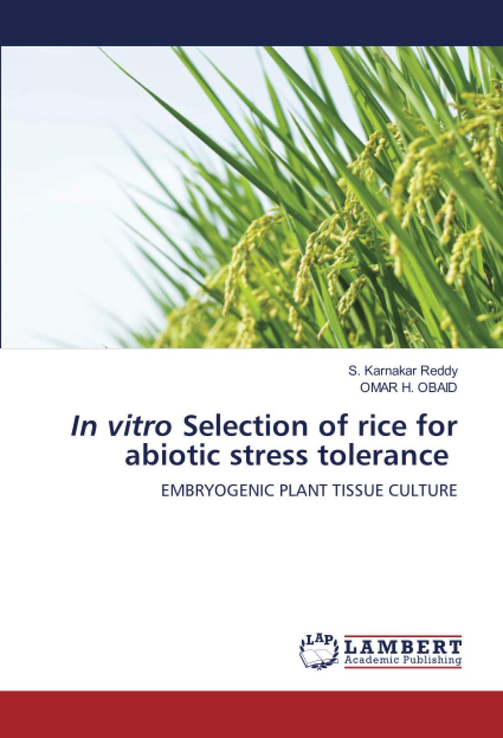 In Vitro Selection Of Rice For Abiotic Stress Tolerance Embryogenic ...