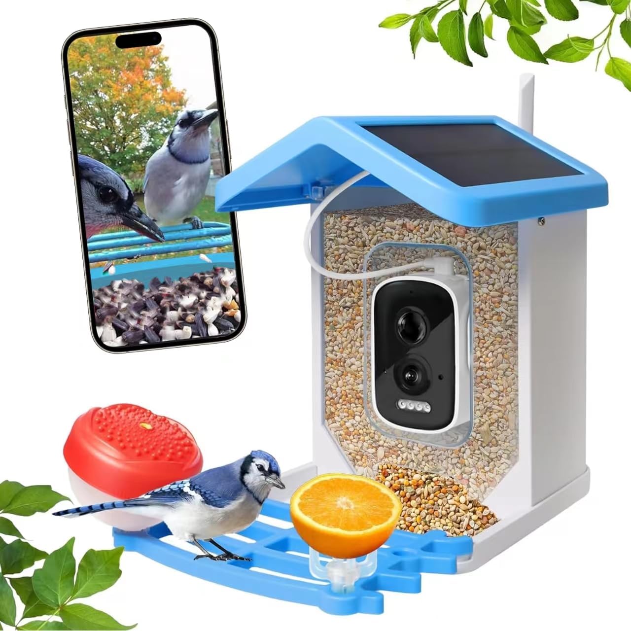 Amazon.com : Bird Feeder with Camera,Smart Bird Feeder Camera Solar Powered with AI Identify ...