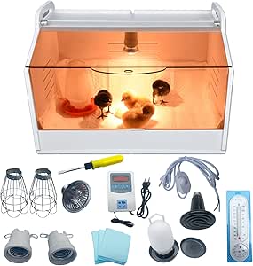 Amazon.com: IINCOOY Chick Brooder Box Heat Chicks Birds Parakeet Incubators Breeding Keep Warm ...