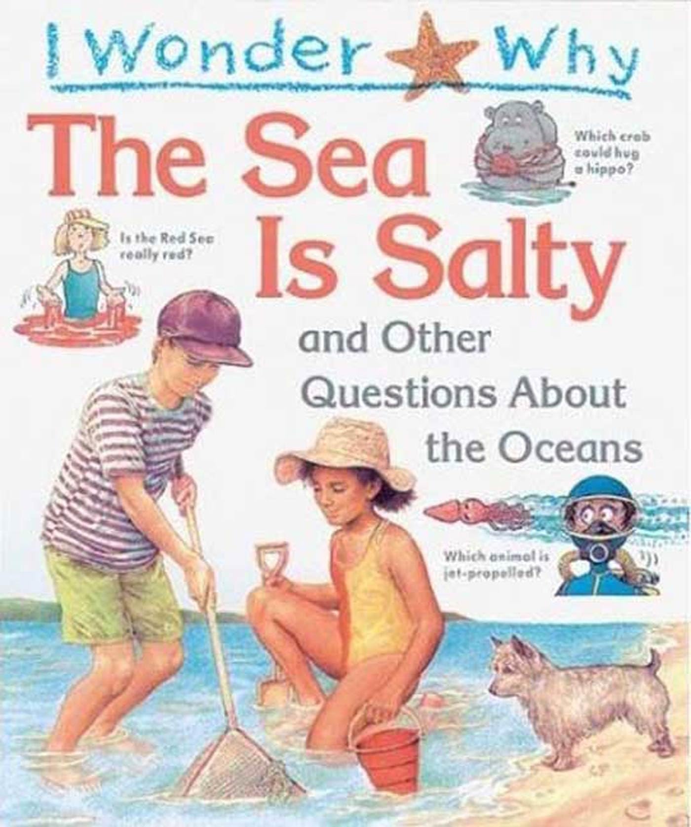 I Wonder Why the Sea Is Salty: and Other Questions About the Oceans ...