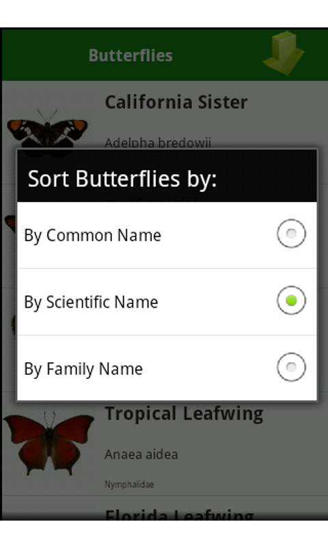 North American Butterflies - App on Amazon Appstore