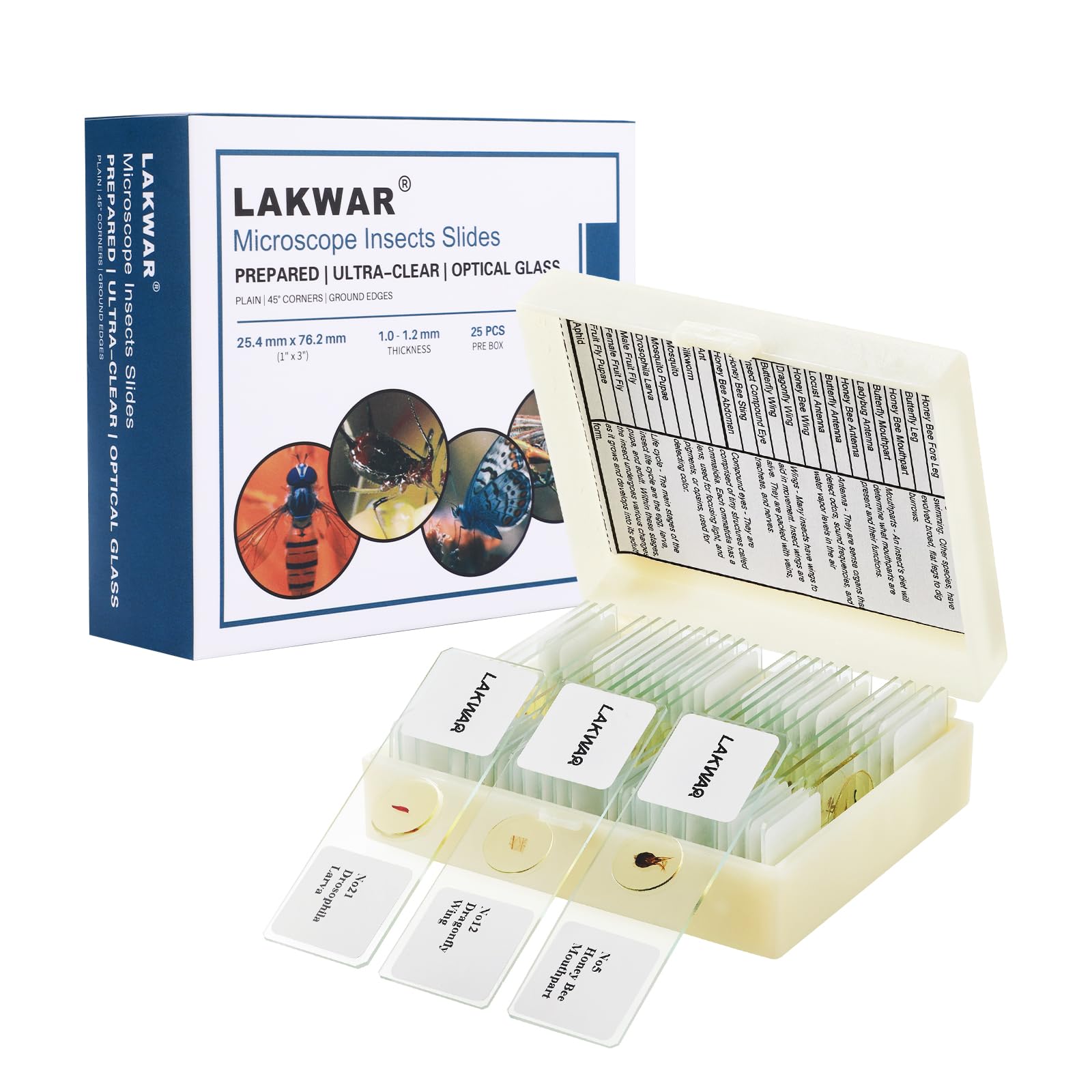 Snapklik.com : 25 Insect Microscope Slides