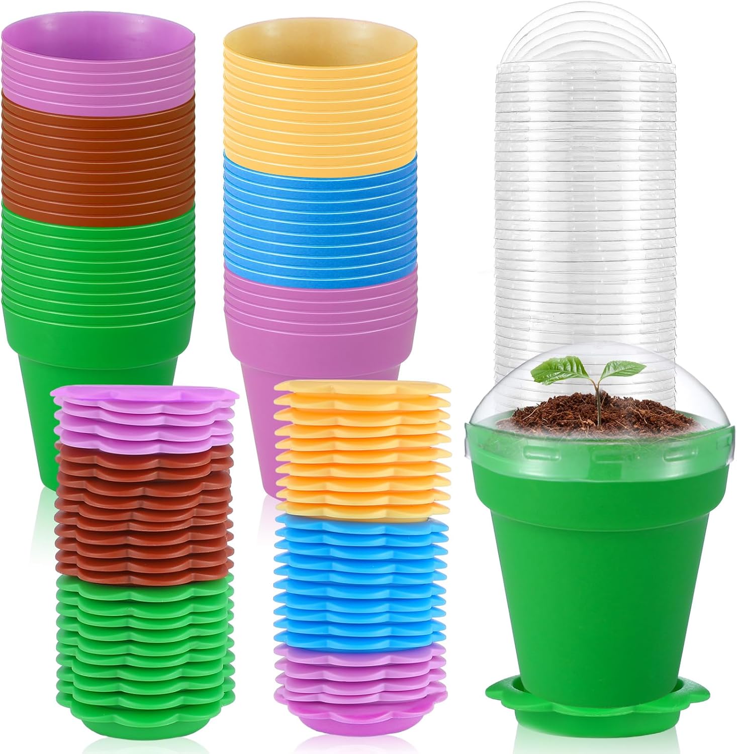Amazon.com: 50 Set Cupcake Plant Nursery Pots with Humidity Dome ...