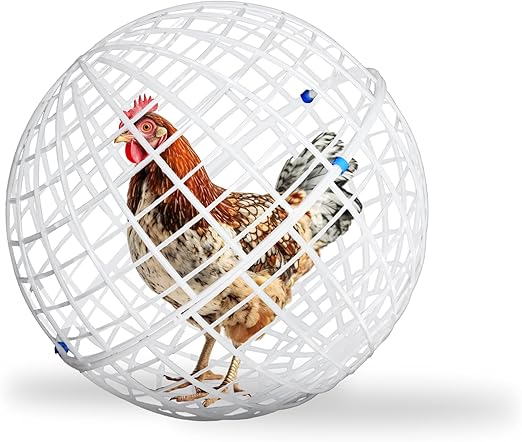 Amazon.com: Rolling Hen Orb Cage 19" - Spherical Chicken Enclosure for ...