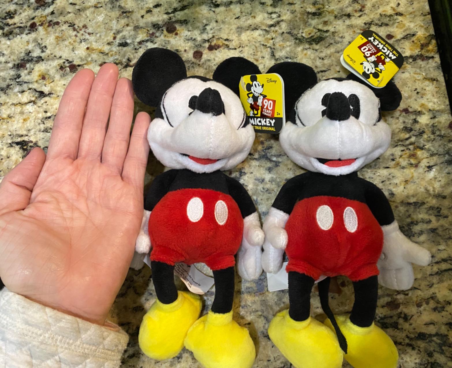 Amazon.com: Disney Mickey 90th Bean 8" Plush - Pie-Eye : Toys & Games