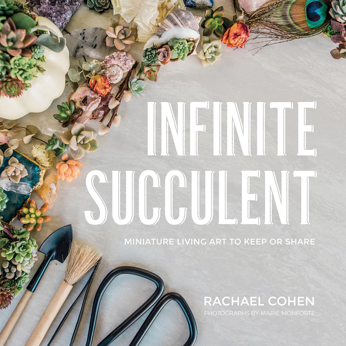 Infinite Succulent: Miniature Living Art to Keep or Share: Cohen ...