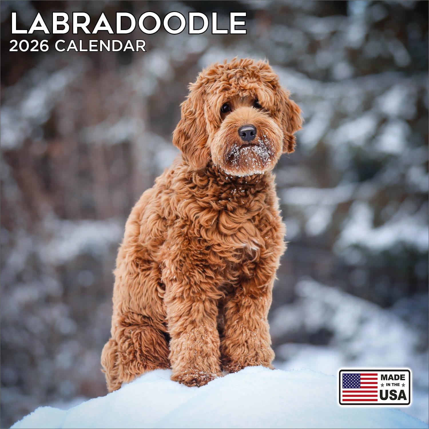 Snapklik.com : 2026 Labradoodle Calendar - Dog Breed Wall Calendar - 12 ...