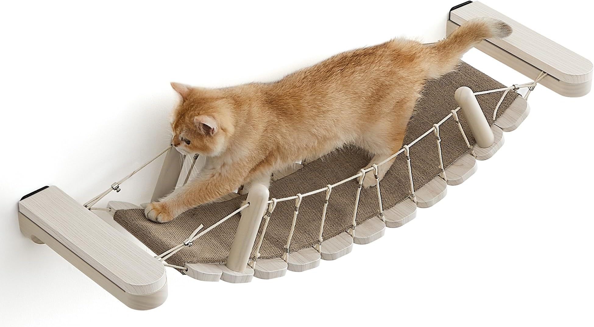 Amazon.com : PLAFUETO Wooden Wall-Mounted Cat Bridge with 2 Fixed ...