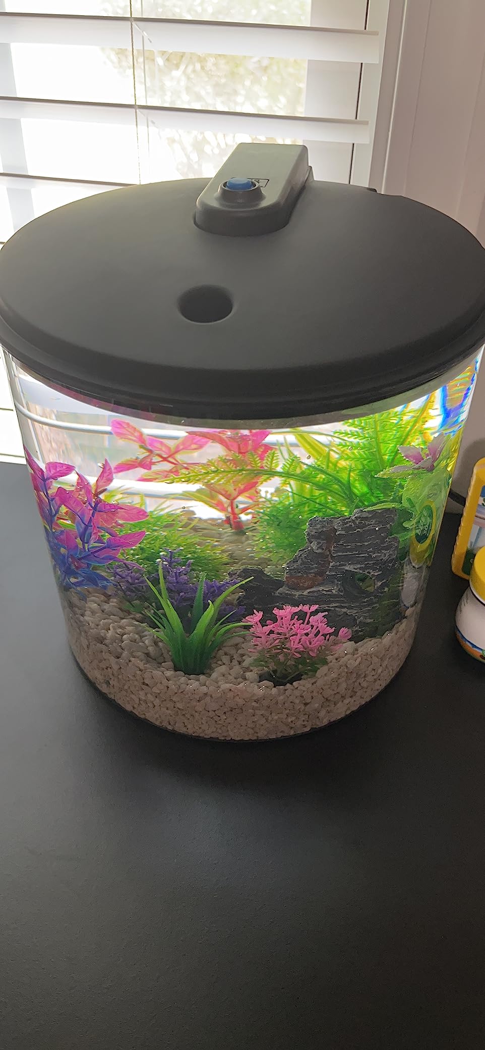$8/mo - Finance Koller Products AquaView 2-Gallon Plastic 360 Aquarium ...