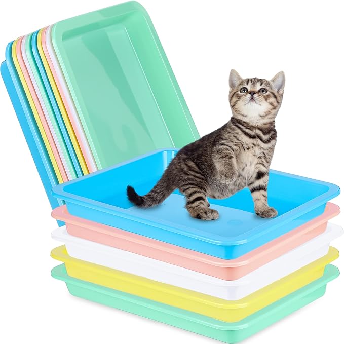 Amazon.com: Lallisa 10 Pcs Small Litter Box for Kittens Bunny Supplies ...