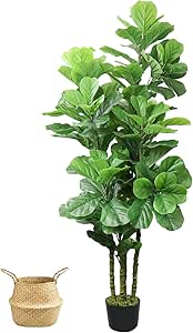 Amazon.com: ROOMTEC 6ft Artificial Fiddle Leaf Fig Tree in Pot Faux Fiddle Leaf Fig Tree Large ...