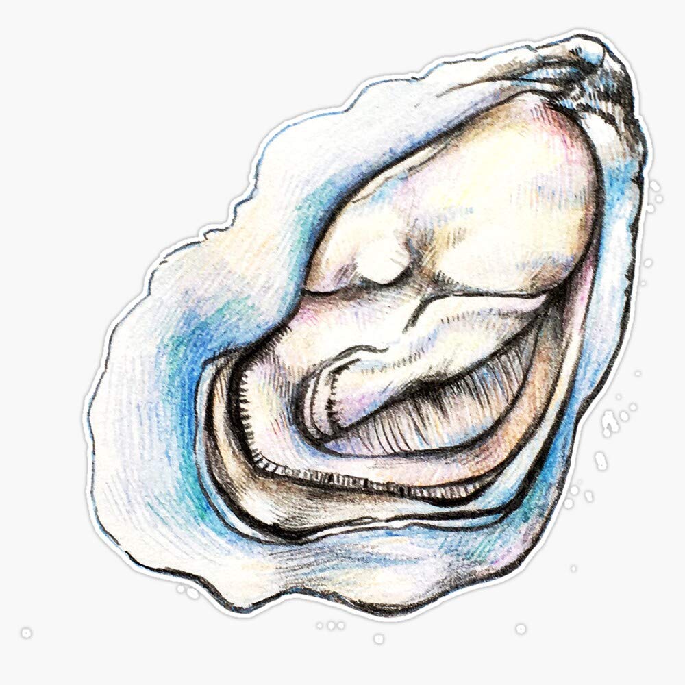 Amazon.com: Oysters' Sticker Vinyl Bumper Sticker Decal Waterproof 5 ...