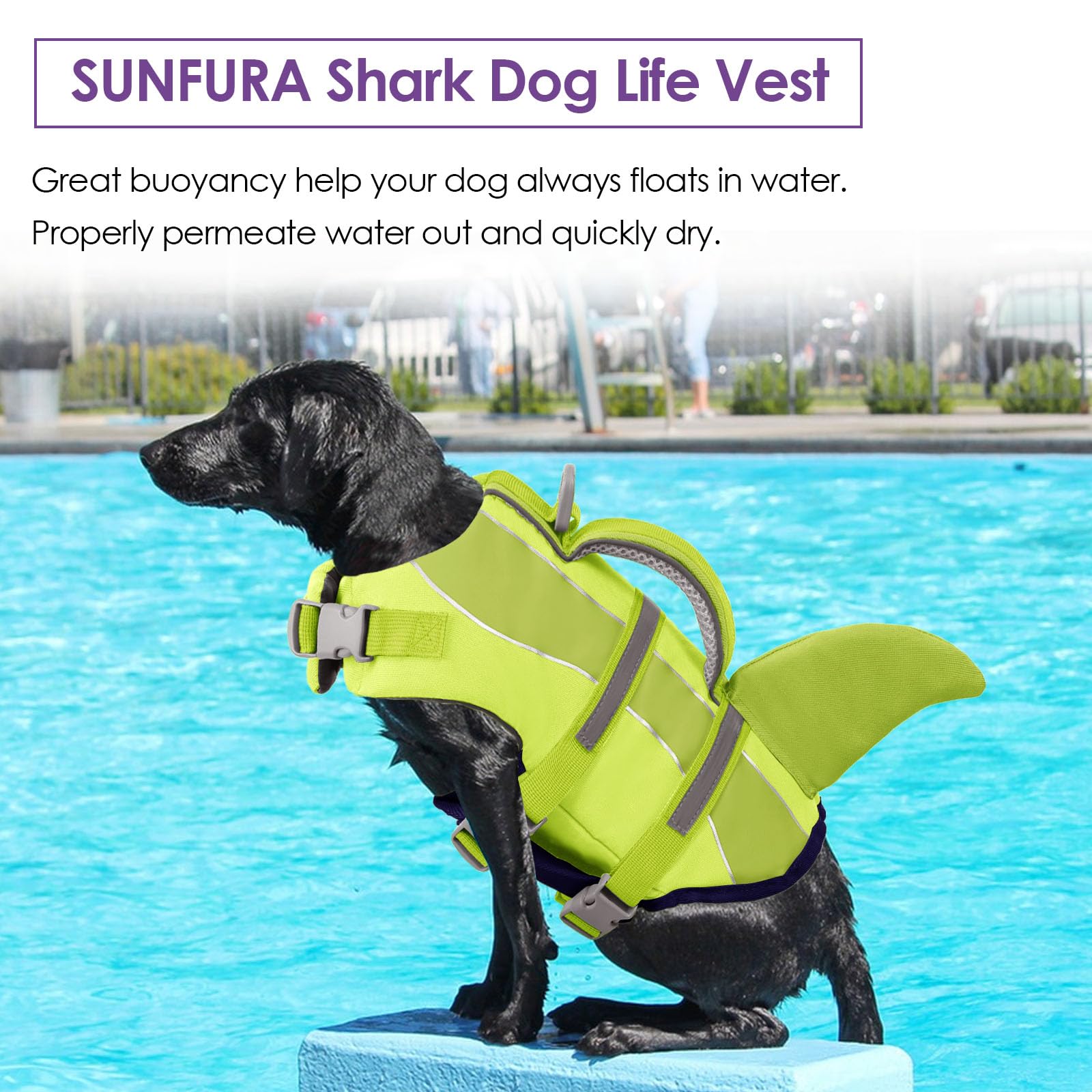 Snapklik.com : SUNFURA Dog Life Jacket - Shark Dog Life Vest For ...