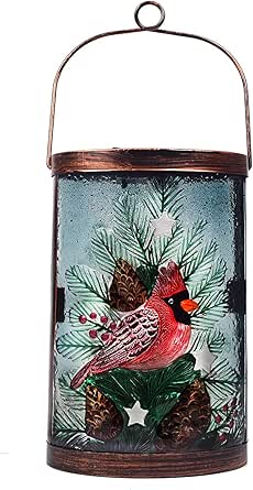 Amazon.com: Sunnygarden Hanging Garden Lanterns Cardinal Glass Solar ...