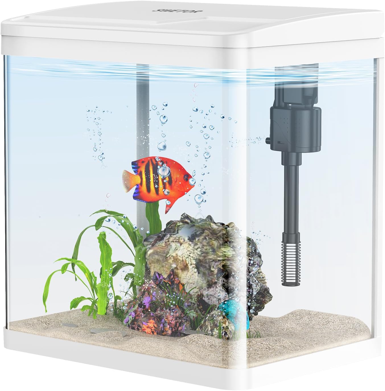Amazon.com : SWETOR 2 Gallon Glass Betta Fish Tank - Small Fish Tank ...