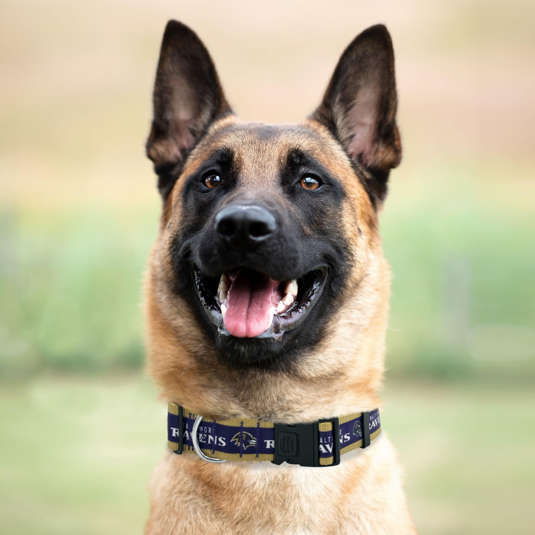 Snapklik.com : Pets First NFL Baltimore Ravens Licensed PET COLLAR