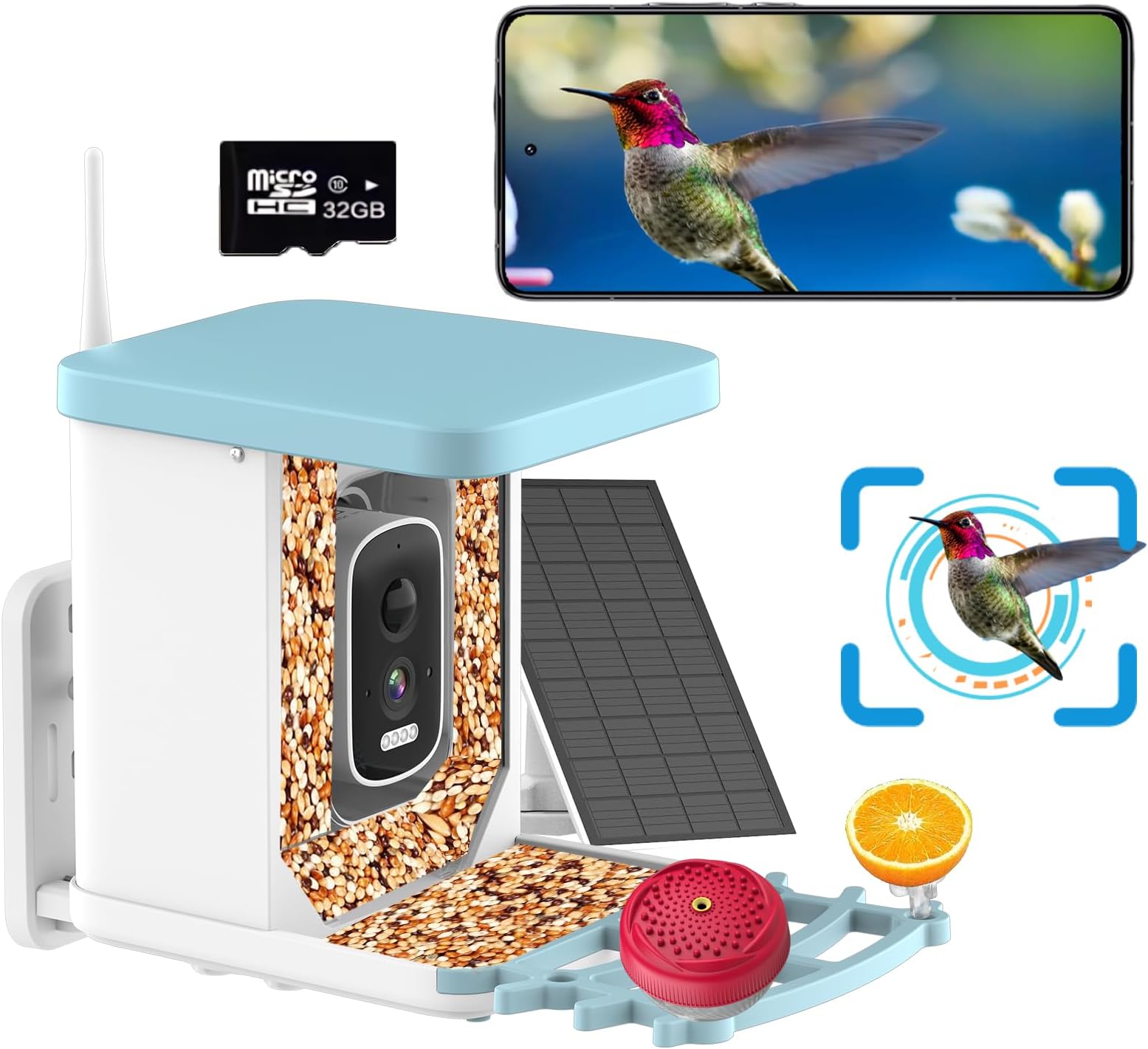 Amazon.com : Bird Feeder with Camera,1080P HD AI Identify Bird Species ...
