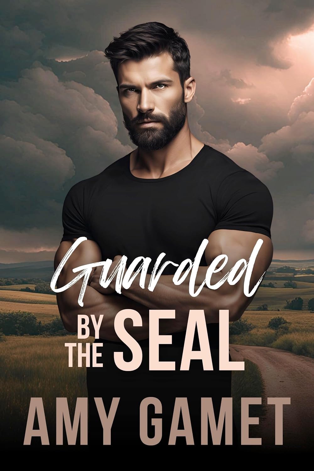 Guarded by the SEAL: A Forced Proximity, Second Chance Romance (HERO ...