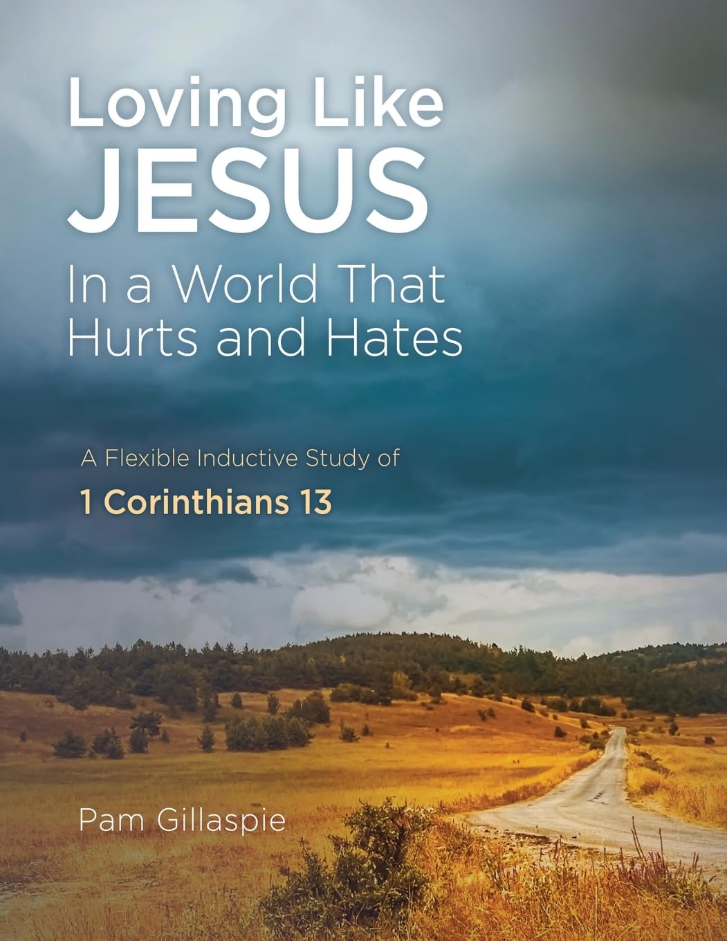 Loving Like Jesus: In a World that Hurts and Hates: Gillaspie, Pam ...