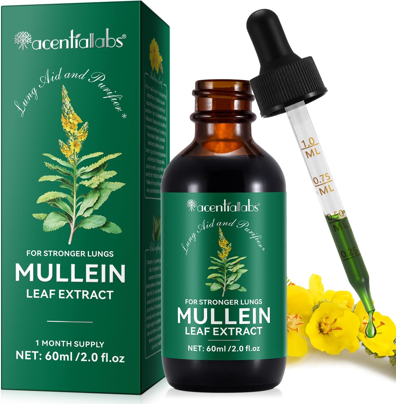 Amazon.com: Mullein Drops for Lungs - Organic Mullein Leaf Extract for ...