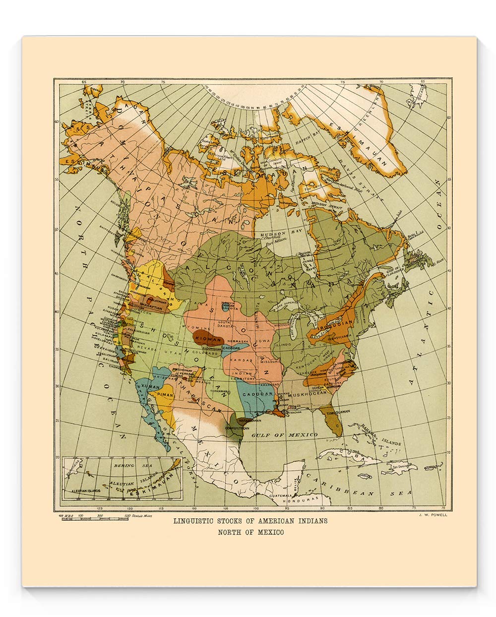 Amazon.com: Native American Language Map Wall Art, 11"x14" Unframed ...