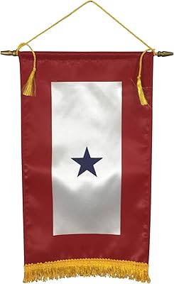 Amazon.com : Annin Flagmakers Model 440191 Service Banner 8x15 NYL-Glo ...