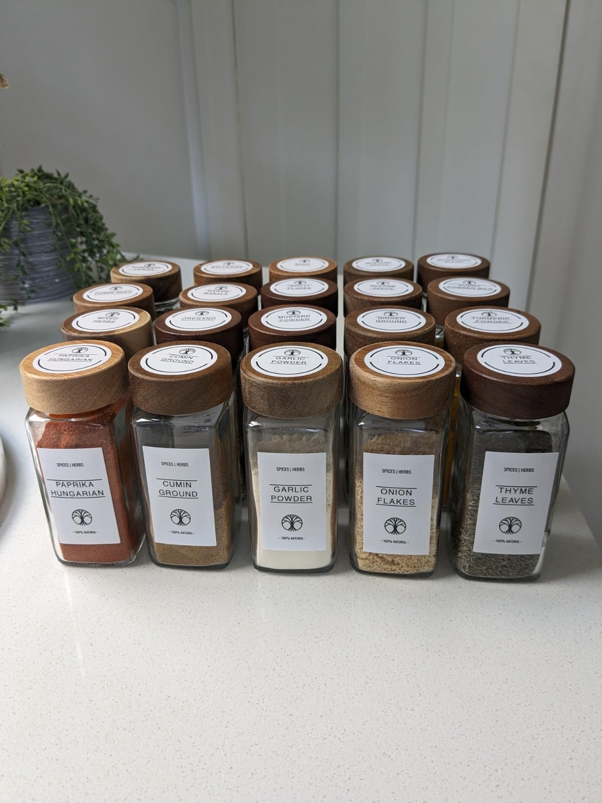 Gourmacia 24 Glass Spice Jar set with Acacia wood lids & 466 Aussie ...
