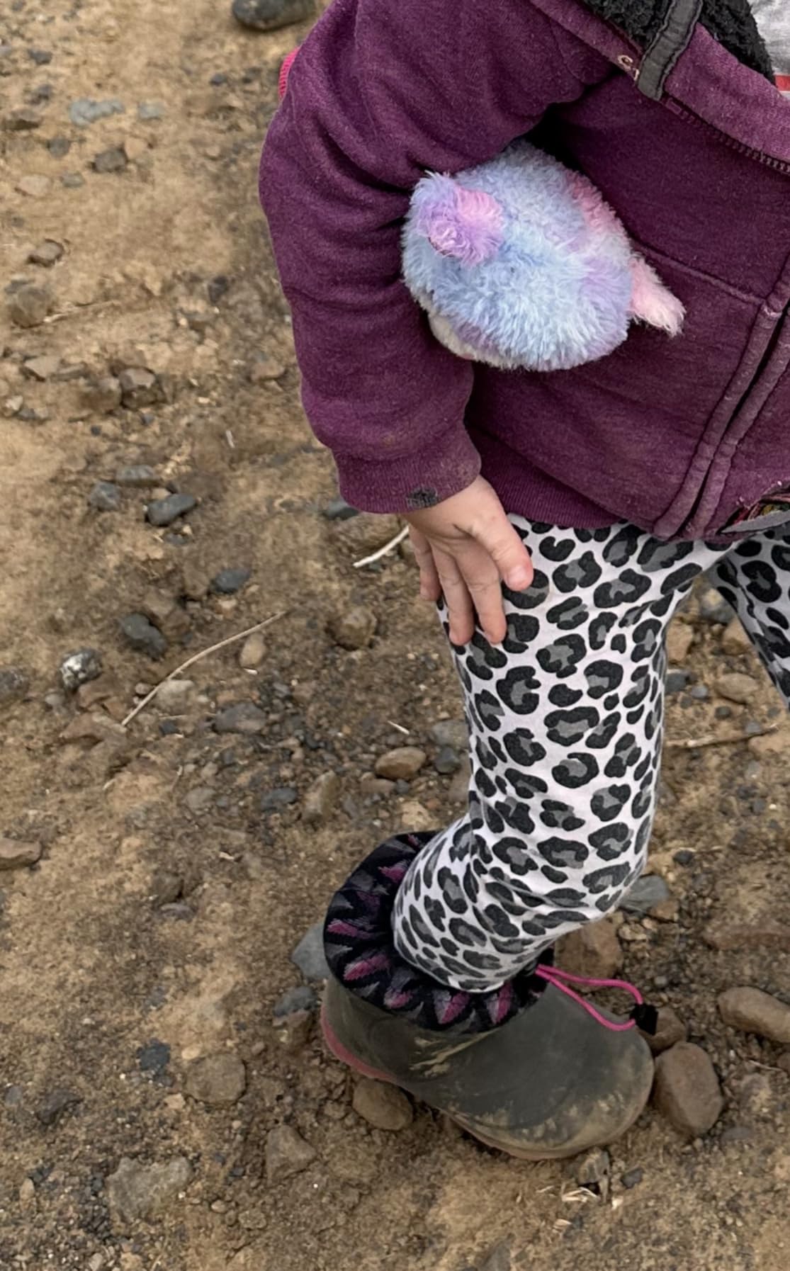 $3/mo - Finance Pets Alive Pet Shop Surprise S3 Puppy Rescue (Border ...