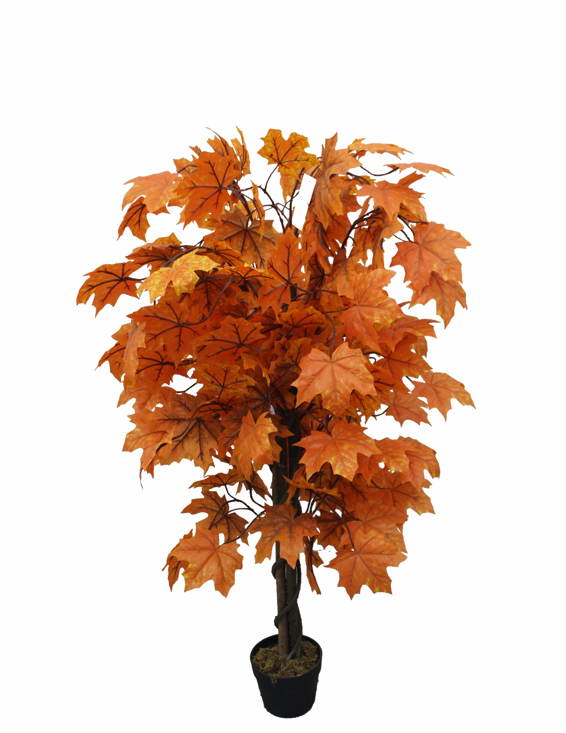 Real Canadian Maple Leaf