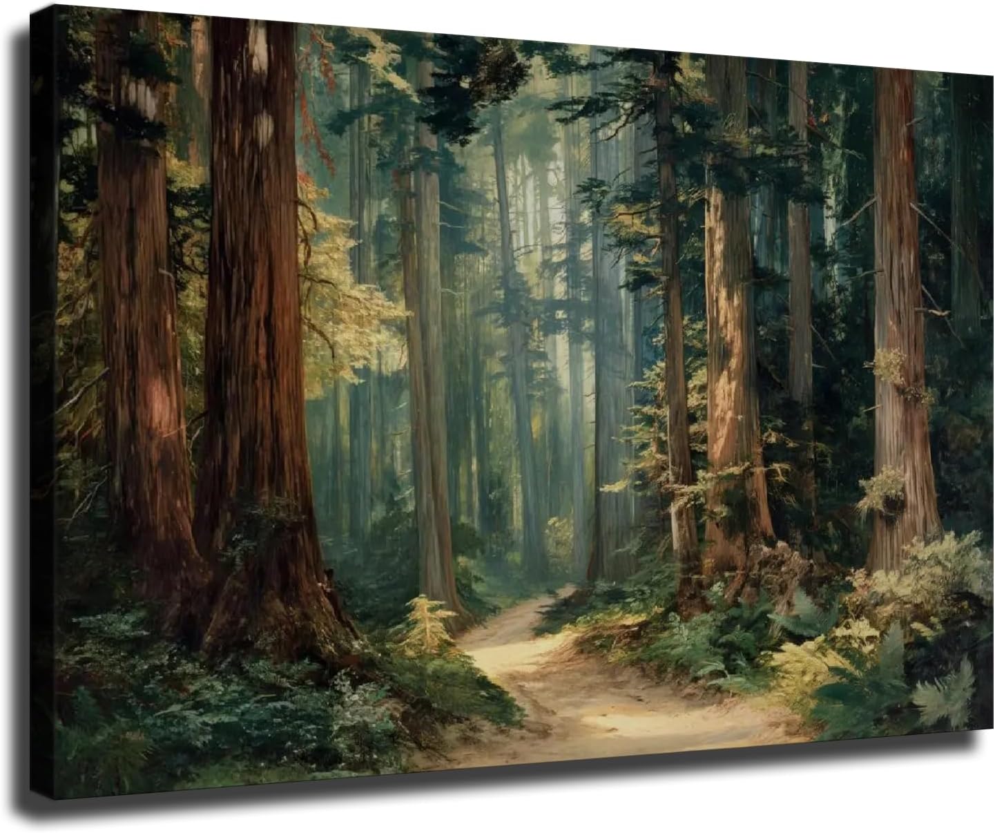 Amazon.com: Redwood Forest Artwork Wall Art, Redwood Forest Path Wall ...