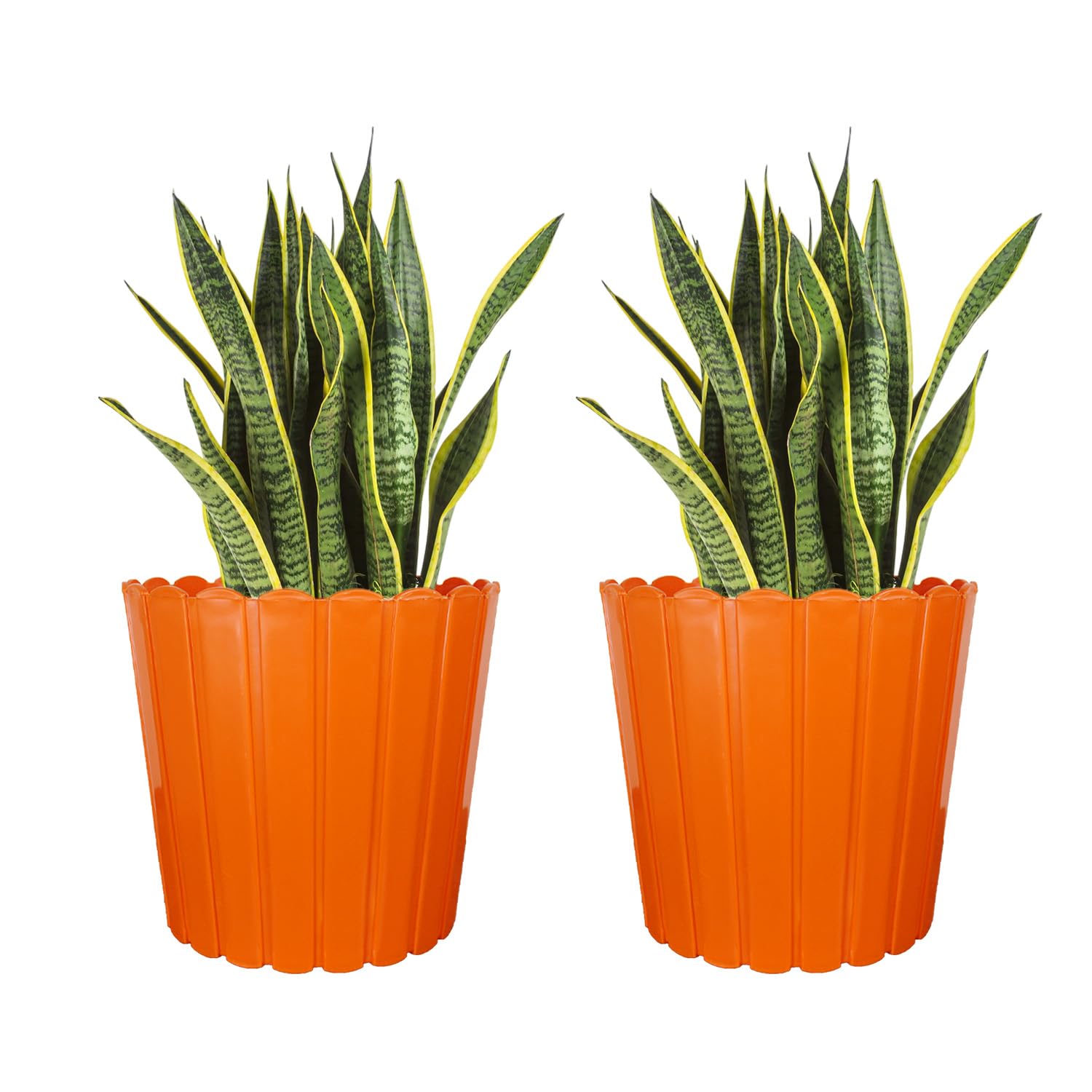 Garden’s 12Inch(30.48cm) Orange Modern Thai Indoor & Outdoor Decorative ...