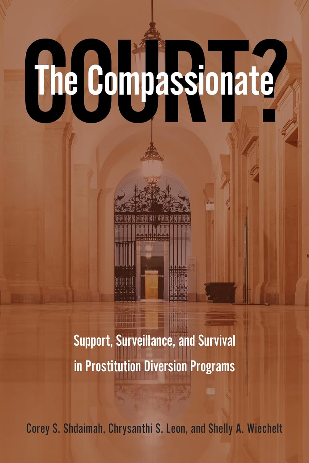 The Compassionate Court?: Support, Surveillance, and Survival in ...