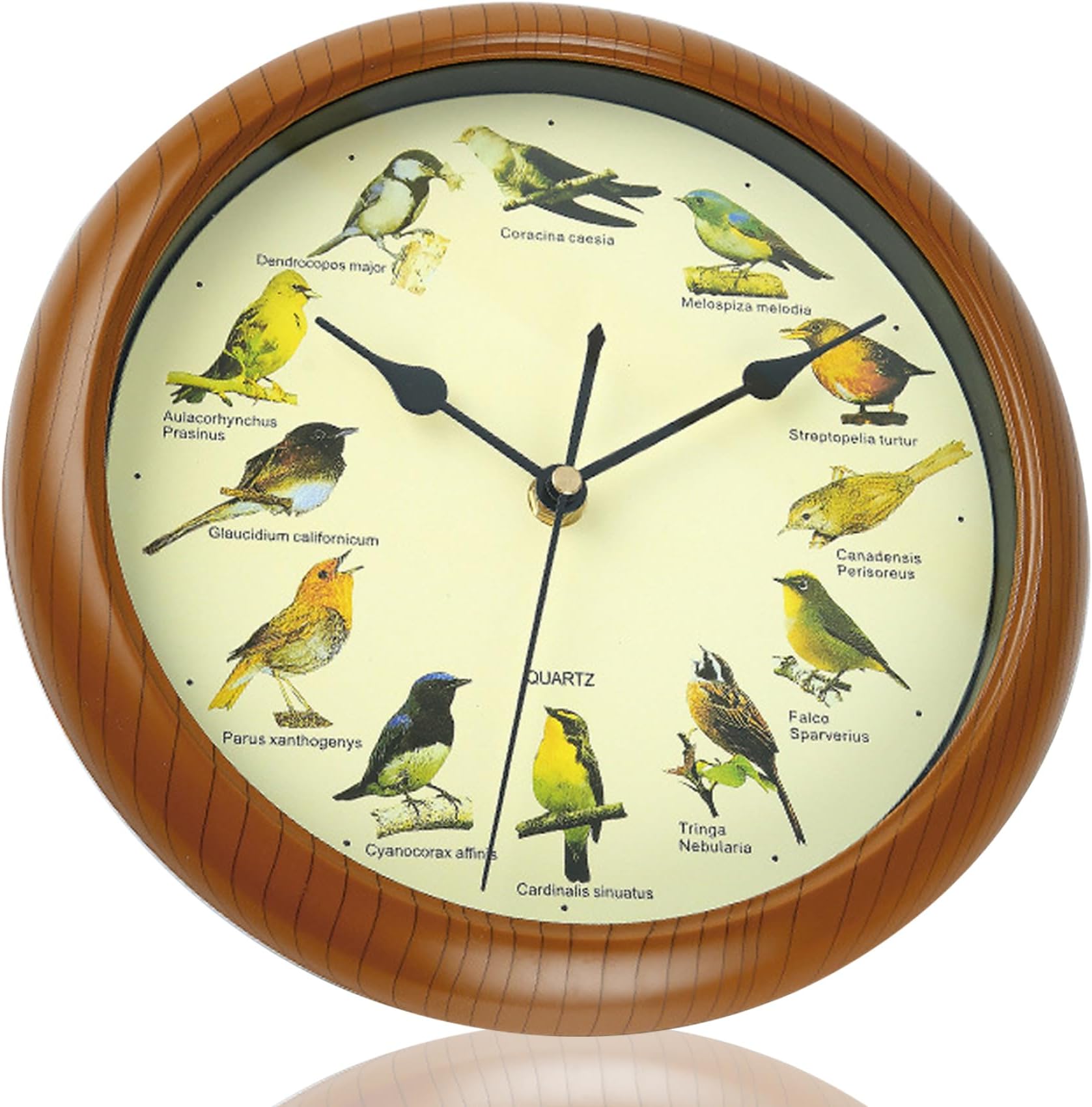 Amazon.com: LLPGETRR Bird Clock 10'' Round Bird Clock That Sings on ...