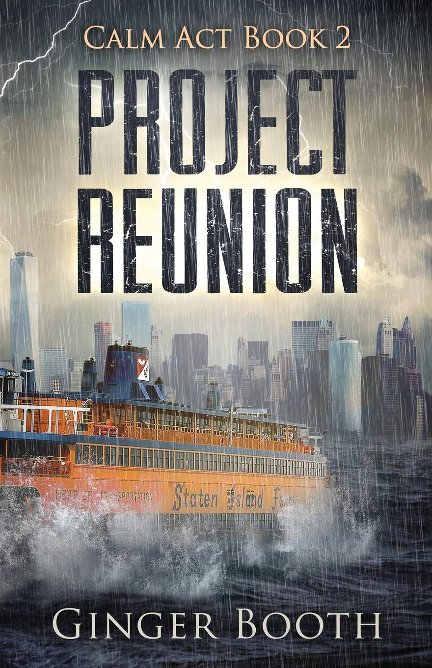 Project Reunion (Calm Act): Booth, Ginger: 9780960068524: Amazon.com: Books