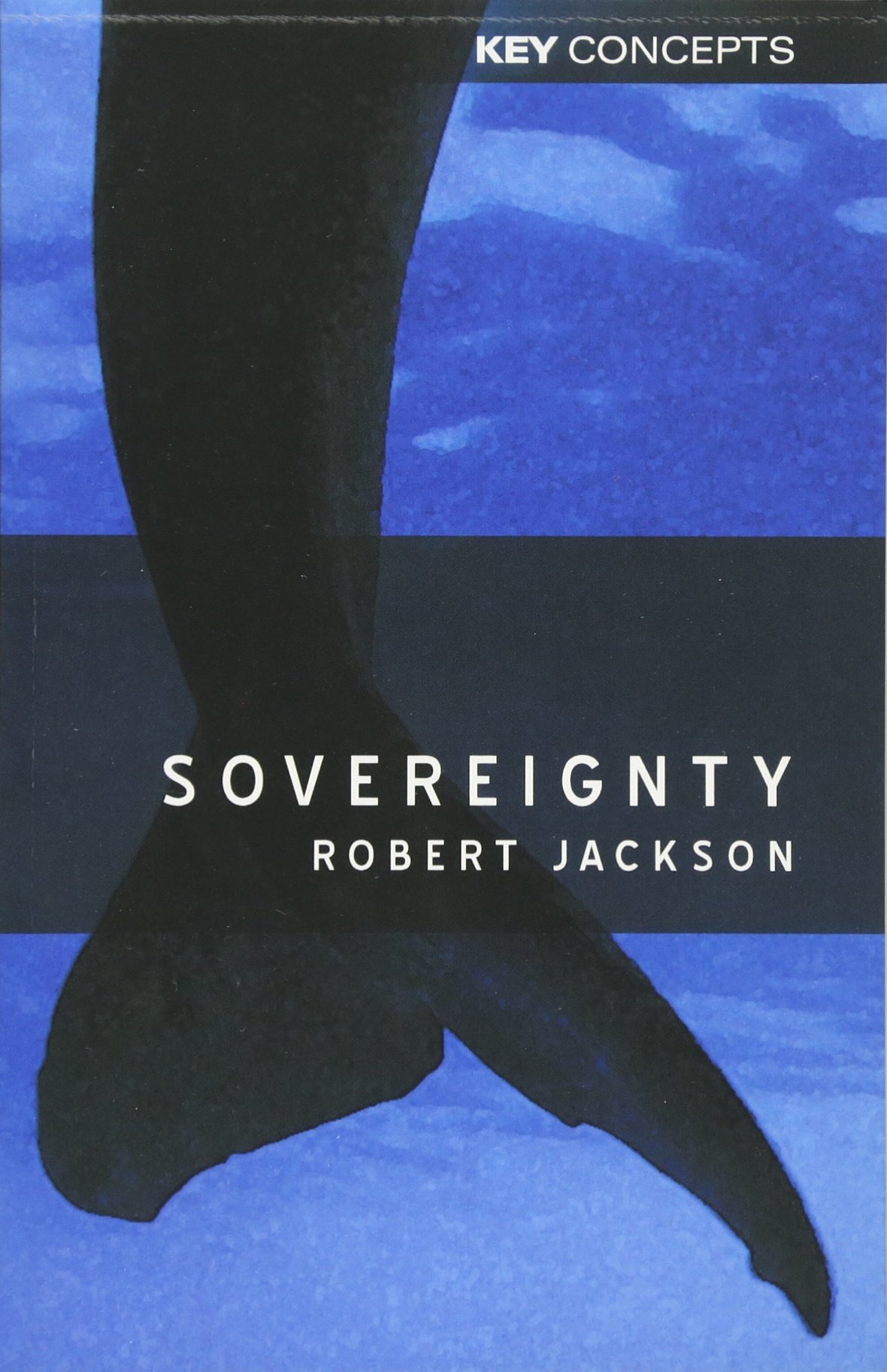 Sovereignty: The Evolution of an Idea (Key Concepts series): Amazon.co ...