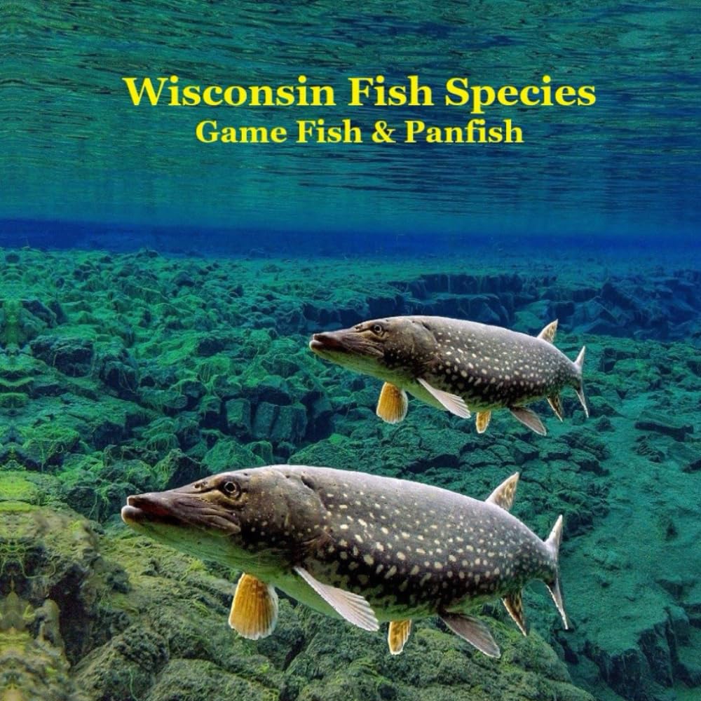 Wisconsin Game Fish and Panfish Species Kids Book: Great Book About the ...
