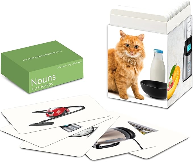 Nouns Flash Cards: 200 Modern Language Photo Cards | Vocabulary Builder ...