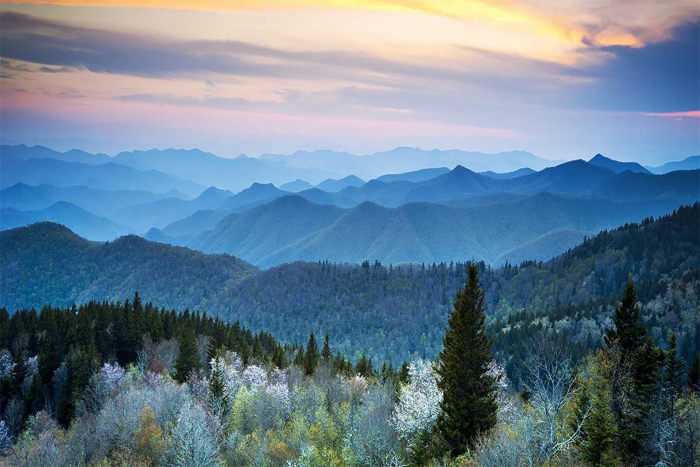 Amazon.com: Blue Ridge Parkway Appalachians Smoky Mountains Spring ...