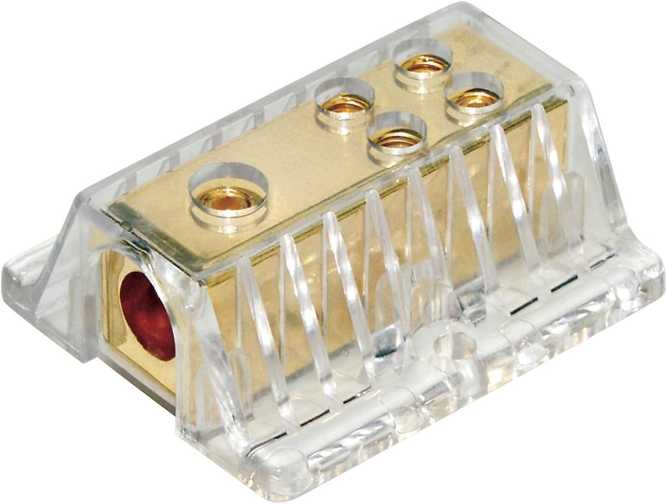 Amazon.com: Raptor GDB1 1-4 Gauge/4-8 Guage Distribution Block (Gold ...