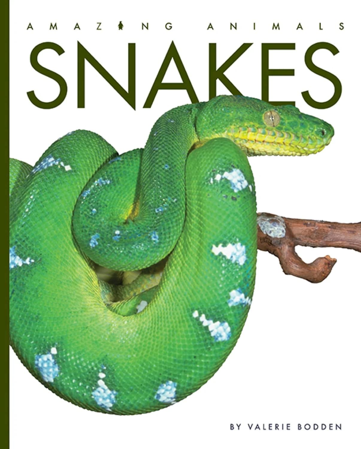 Snakes (Amazing Animals): Bodden, Valerie: 9781628327724: Amazon.com: Books