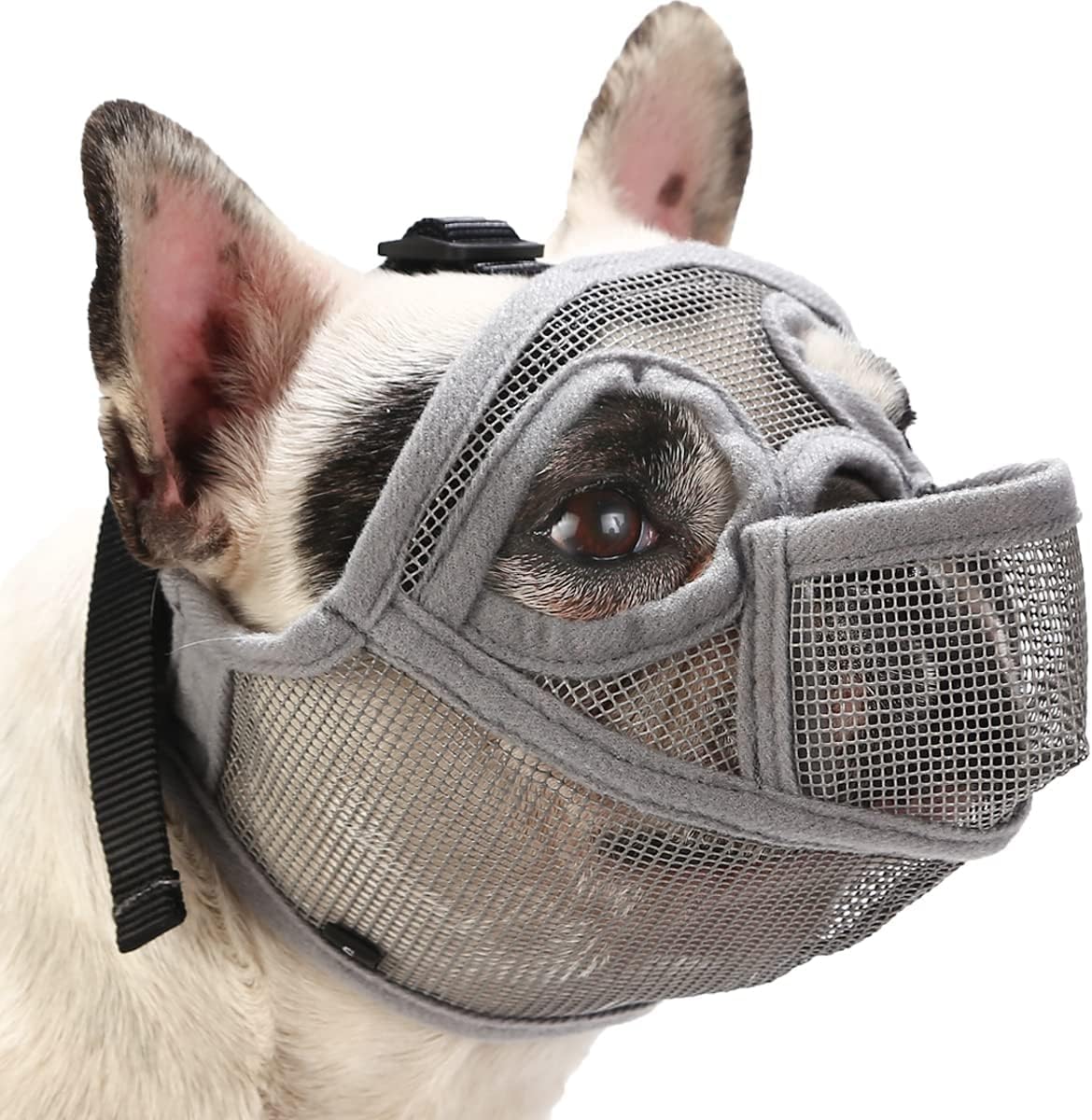 Amazon.com : Short Snout Dog Muzzle Size S and Grey Mesh Bulldog Muzzle ...