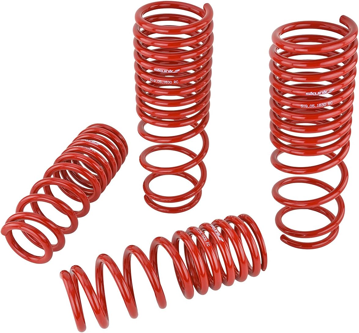 Amazon.com: D2 PRO Lowering Springs 2.0”F / 2.0”R Compatible For 2018 ...