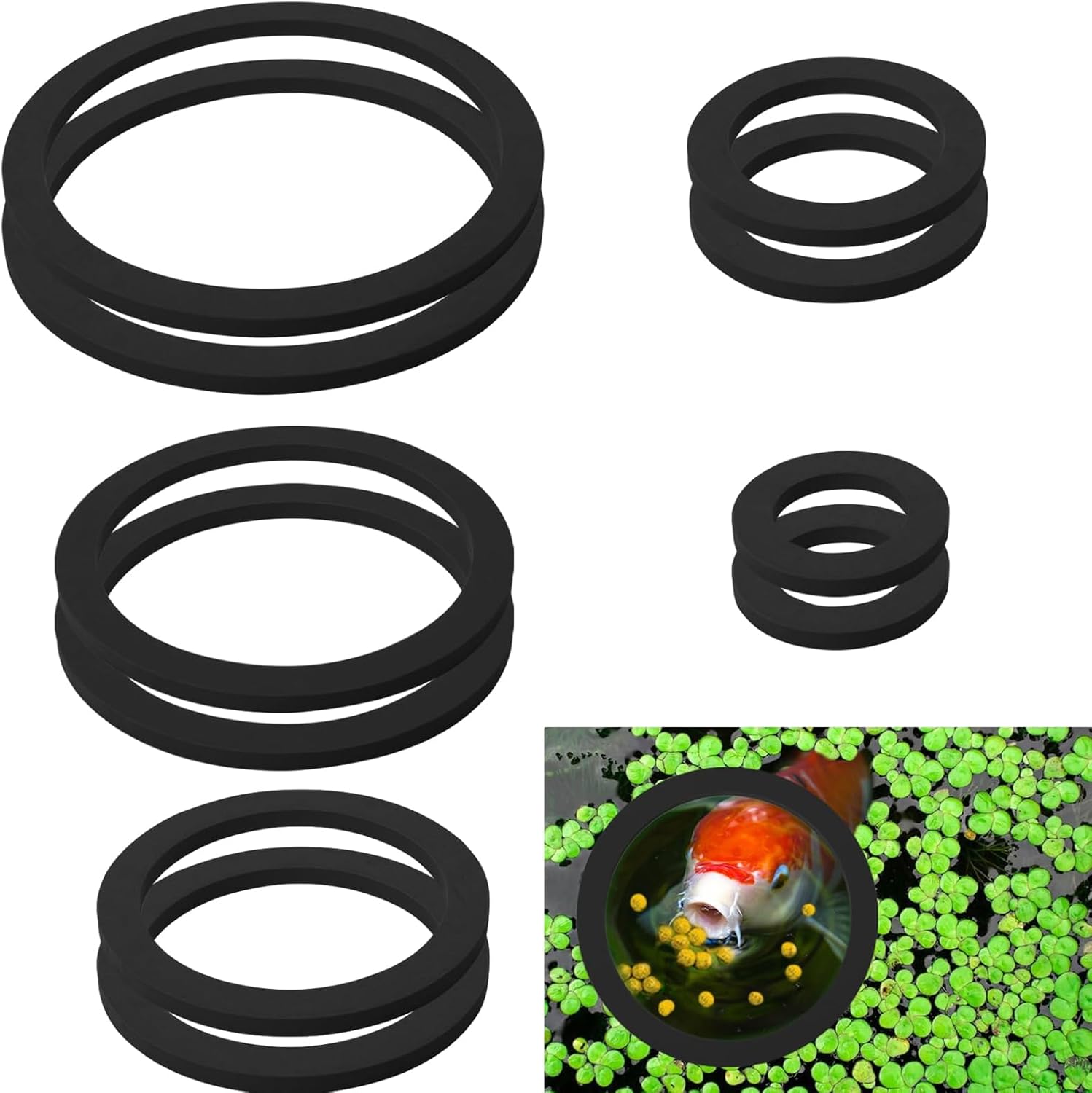 Aquarium Floating Plant Rings, Fish Feeding Ring, 10 Floating Plant ...